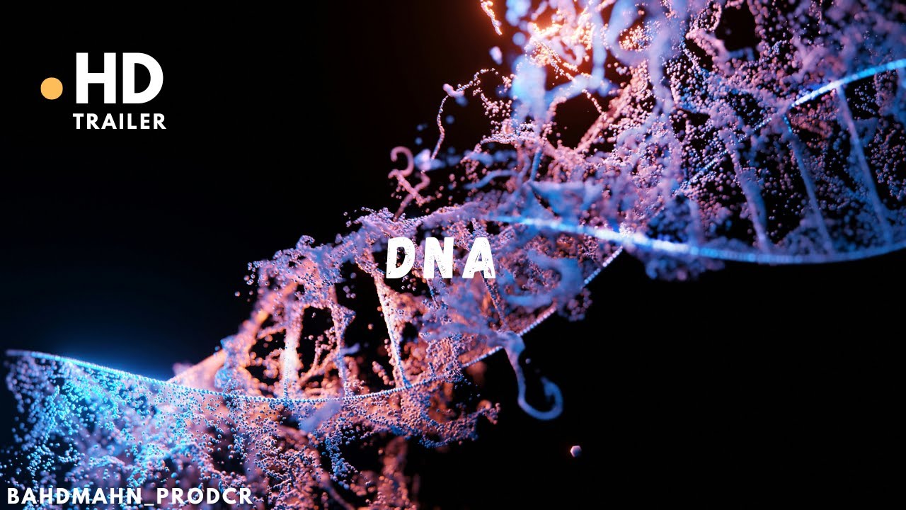Amapiano Type Beat | Amapiano Beat Instrumental 2025 "DNA" - YouTube