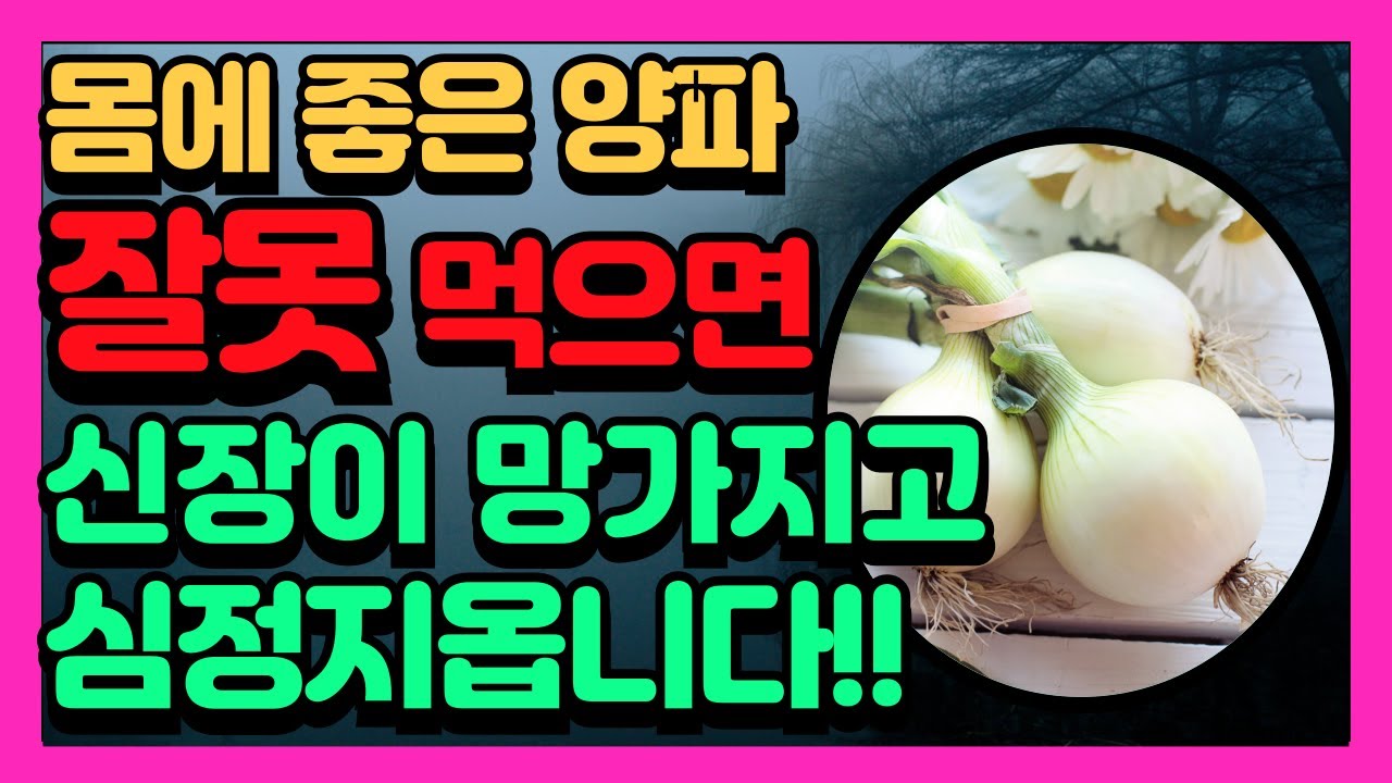 양파 꼭 이렇게 드세요 건강이 좋지 않은 분들은 특히 주의하세요 양파효능 양파와 궁합 맞는 음식 양파와궁합