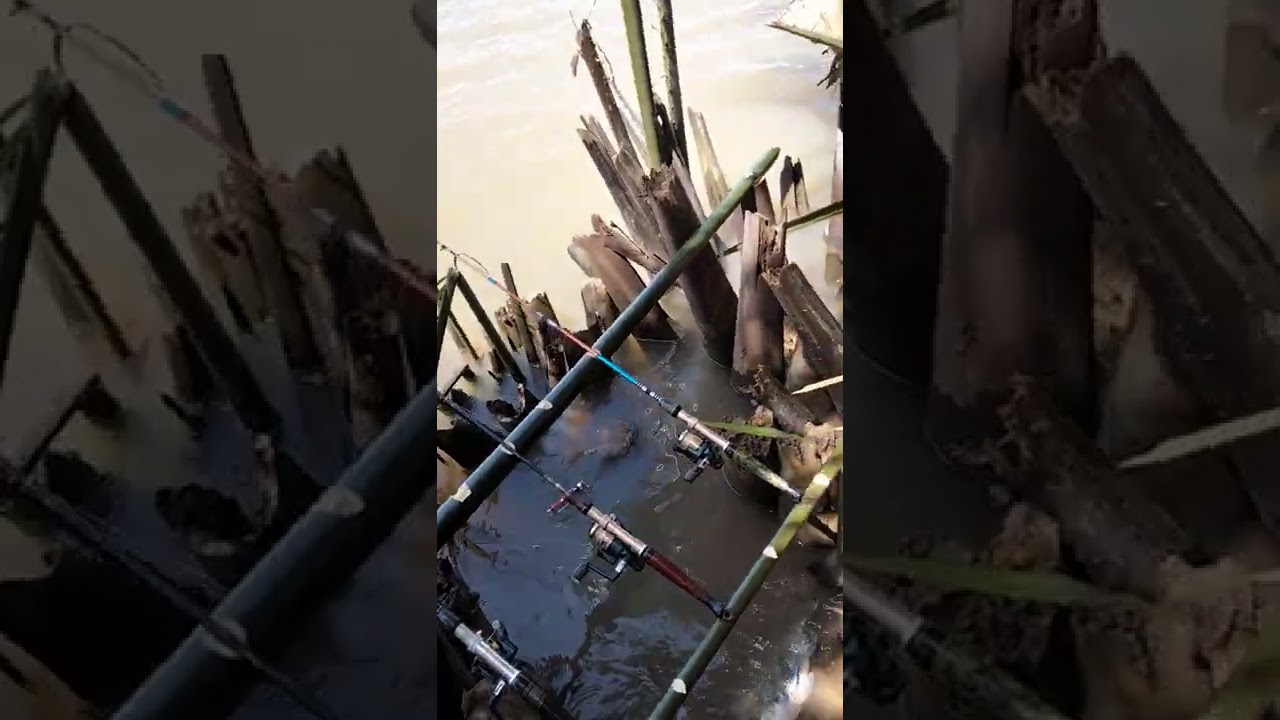 yutuk laut tes mancing - YouTube