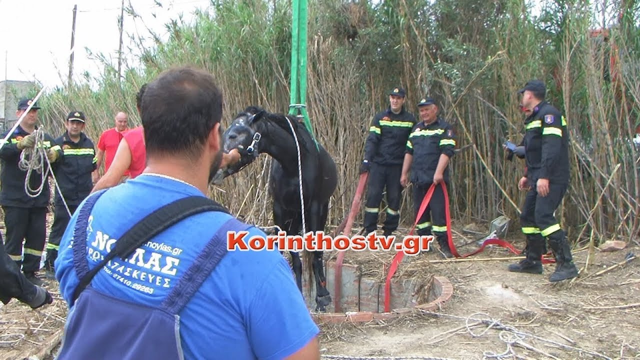 Δραματική διάσωση αλόγου που έπεσε σε πηγάδι βάθους 20 μέτρων στην ...