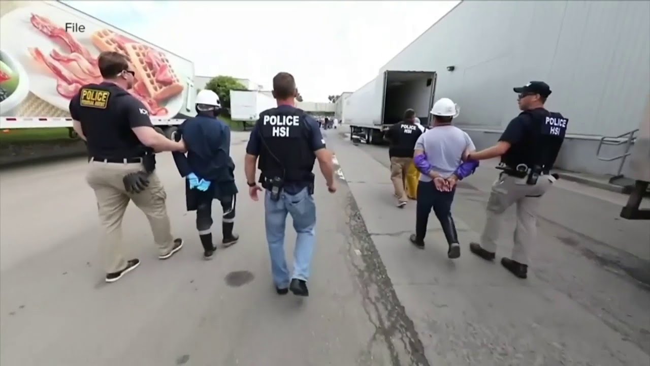 Immigration raids offer little evidence on Sunday - YouTube