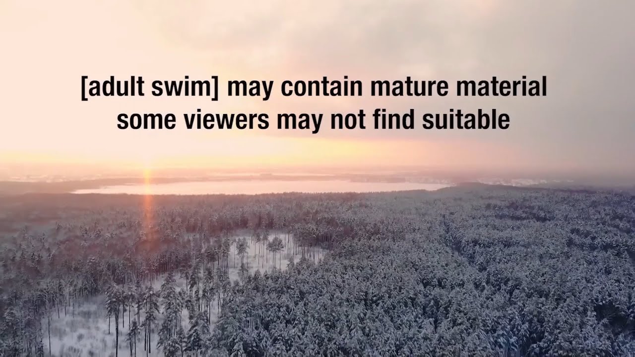 Adult Swim Disclaimers: Winter 2020-21 - YouTube