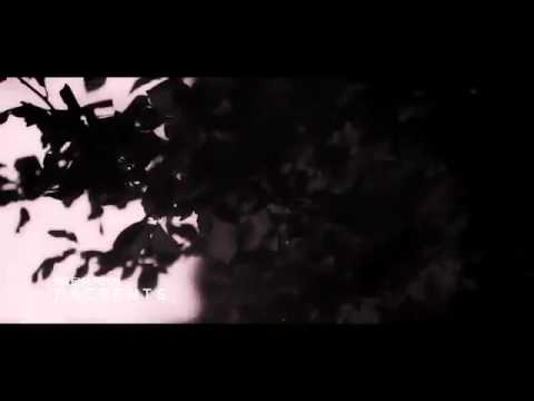 Fadia Shaboroz-Teri galiyan...