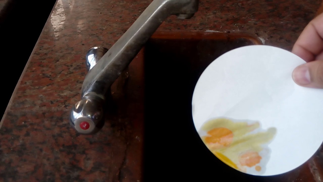 Phytochemistry Dragendorff’s reagent test with alkaloid on filter paper ...