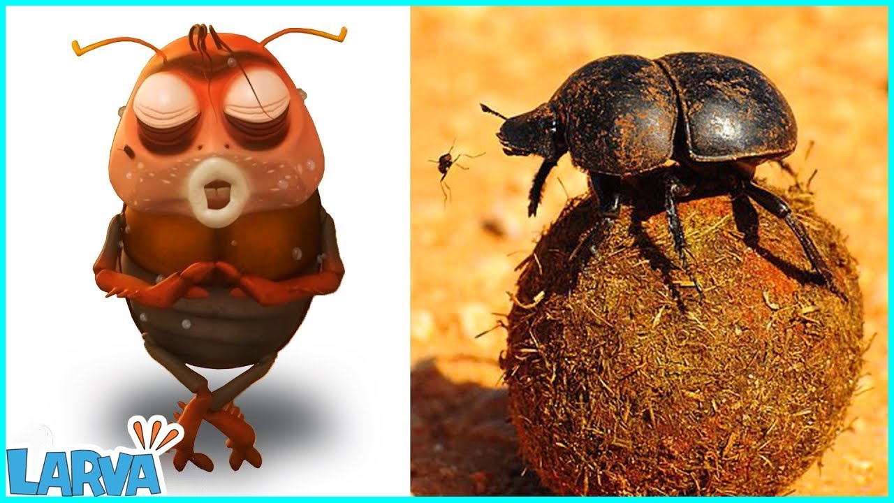 Brown's Long-lost Brother ? Repulsive Cartoon Compilation | Larva ...