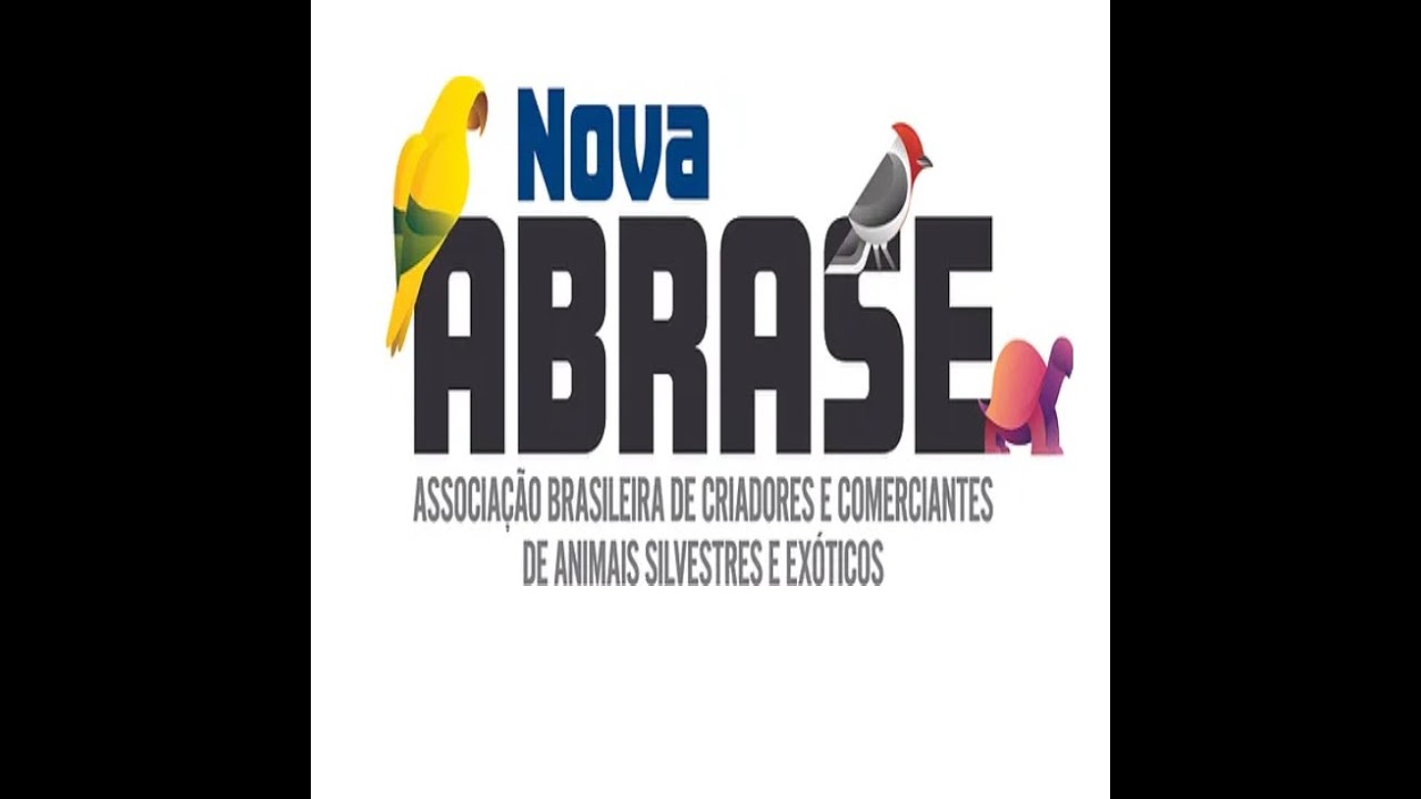 Vídeo institucional Nova Abrase. - YouTube