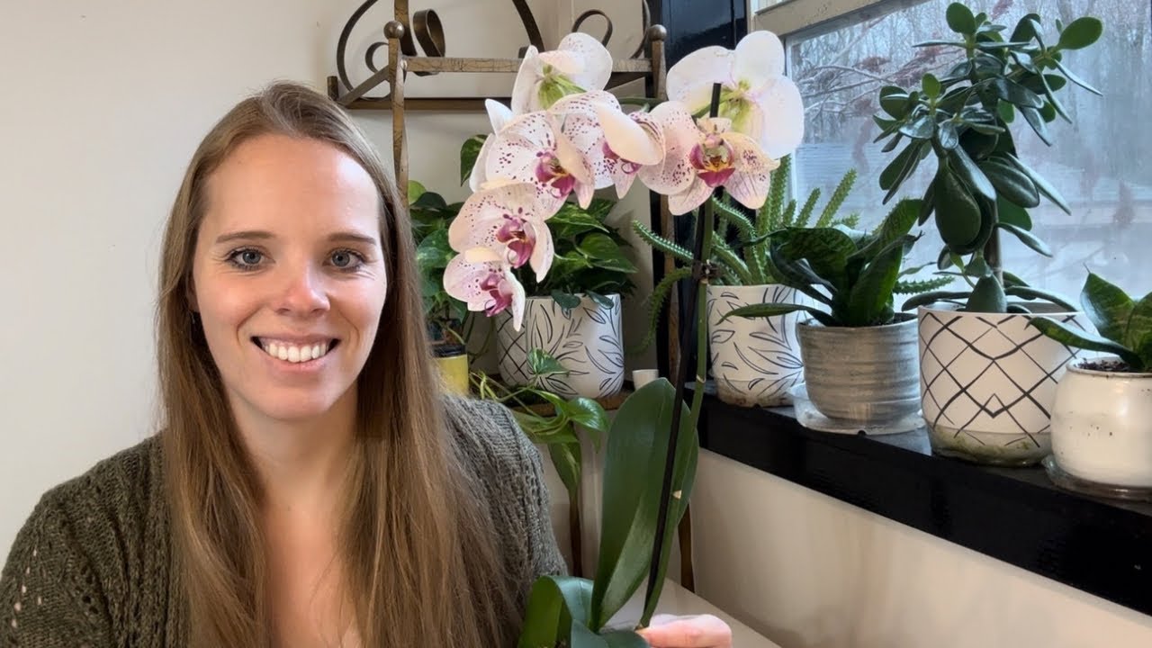 Repotting My Orchids! | Simply Bloom - YouTube