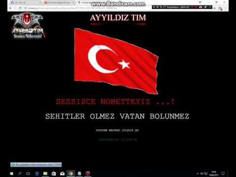 AYYILDIZ TİM İNDEX