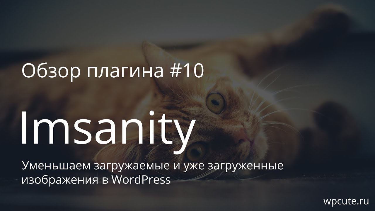 Обзор плагина #10. Imsanity. Уменьшаем загружаемые и уже загруженные изображения в WordPress ...
