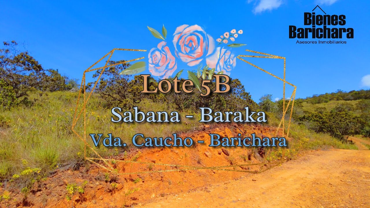VENDO Lote 5B en Vereda Caucho Sabana Baraka Barichara 10000 m² ...