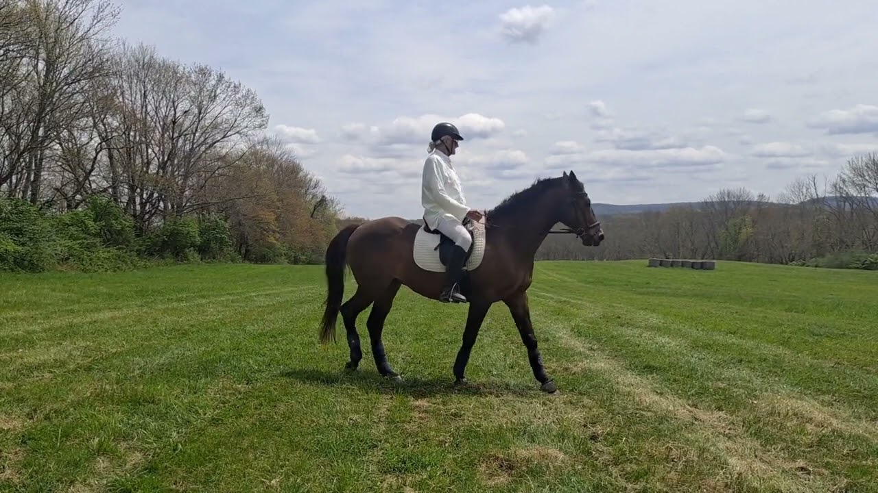 44th day of Spring. JJ needs me. I need JJ. for once in my life I have ...