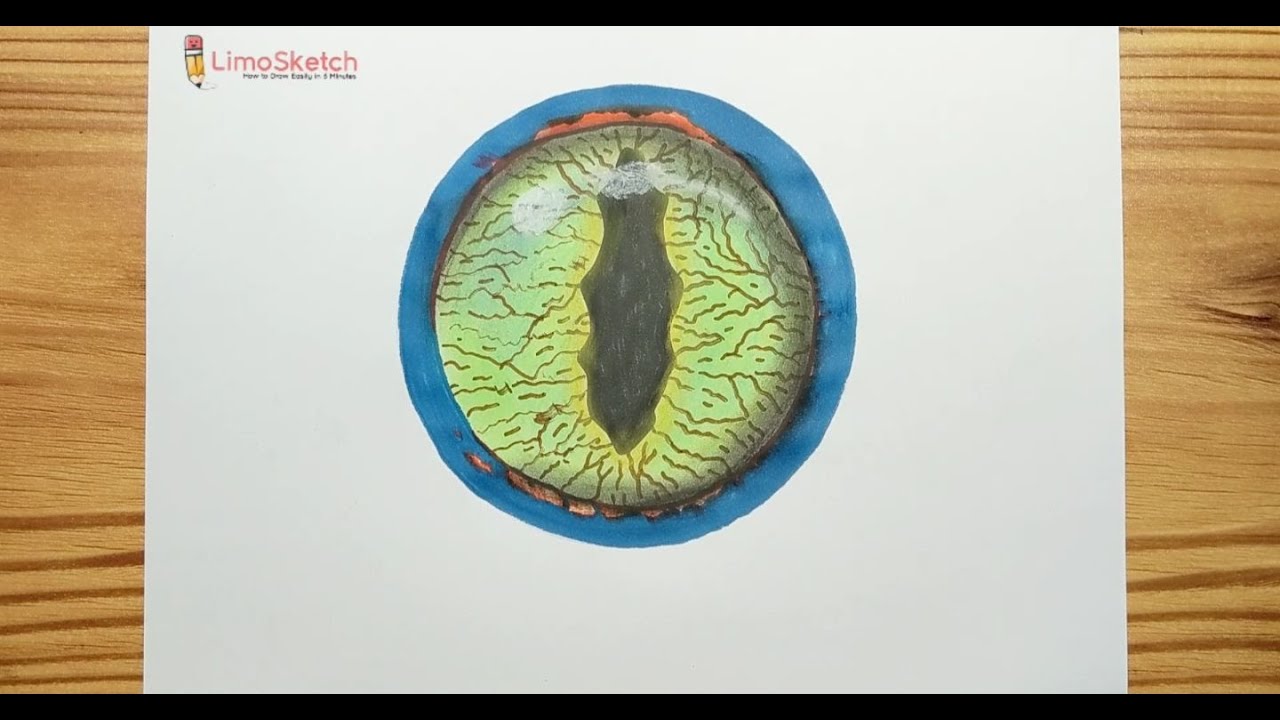 HOW TO DRAWING TOKAY GECKO EYE - YouTube