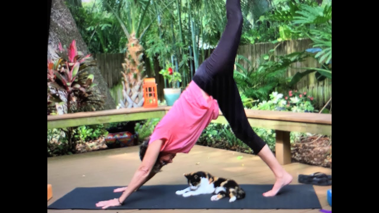 Lost River Yoga: Gentle Stretch with Margo - YouTube