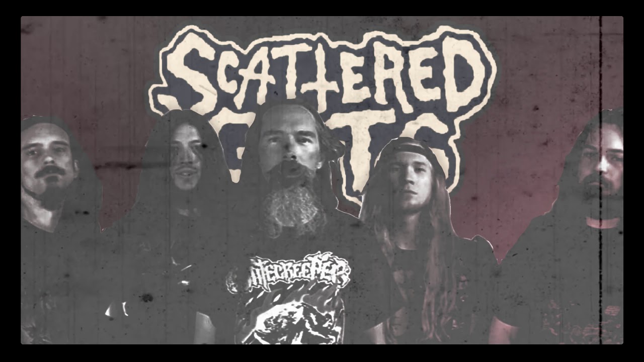Scattered Guts The Wake LYRIC VIDEO - YouTube