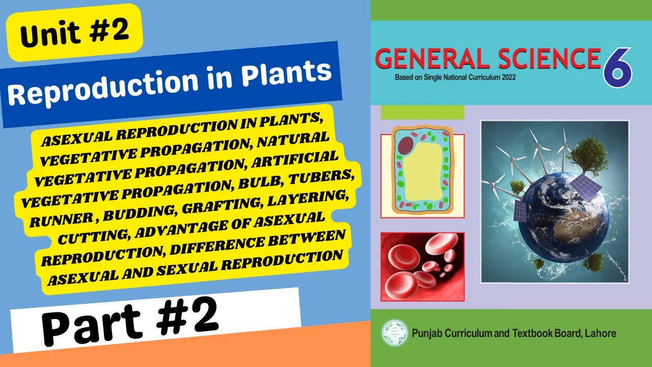Class 6 new science book part 2 || Reproduction in Plants || Class 6 ...