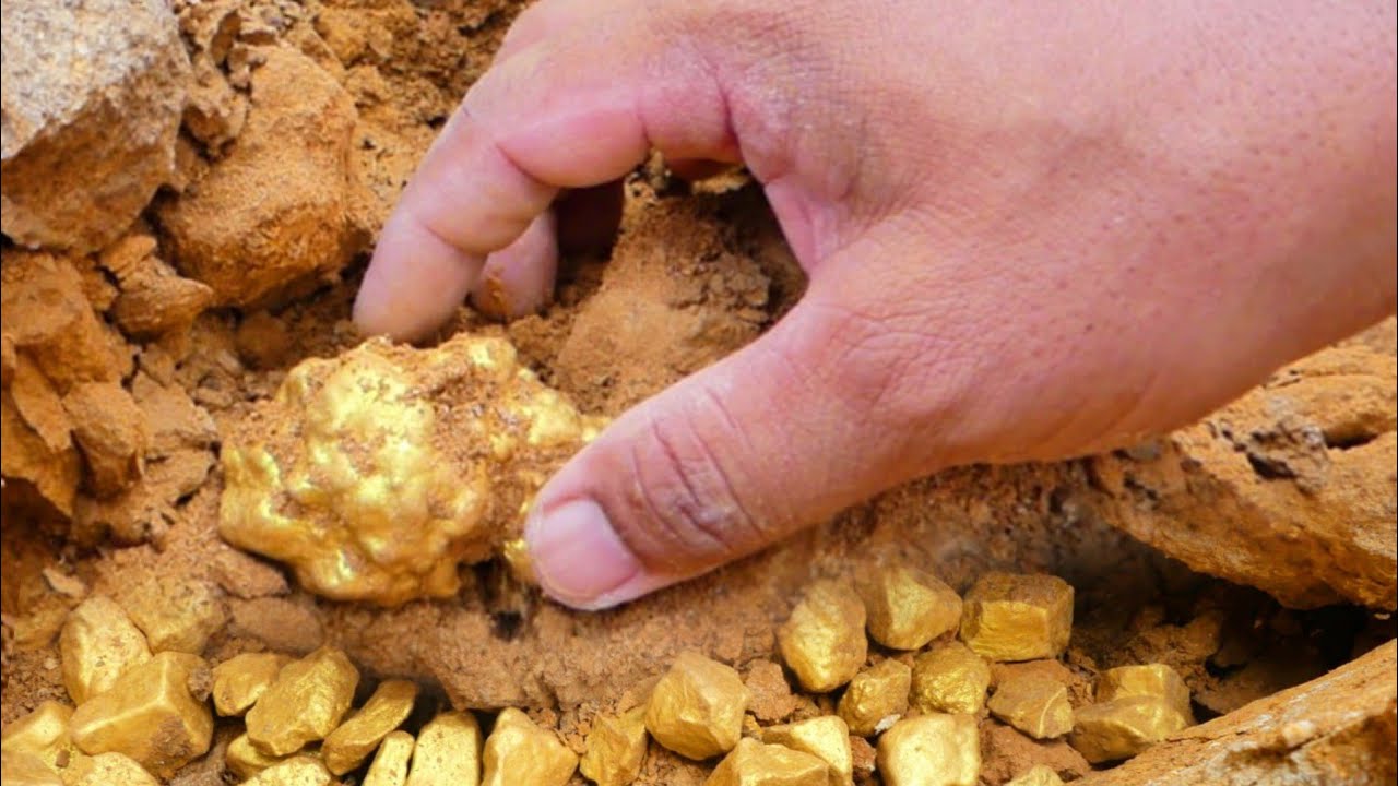 Top Mining gold nuggets, Finding the most expensive discovered gold ...