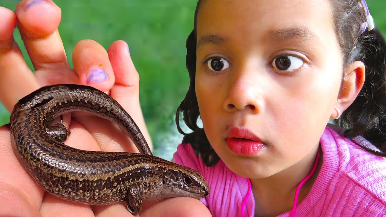 My Pet Lizard Zoe & DAD CATCH LIZARDS and CATCHING BUGS At Home! - YouTube
