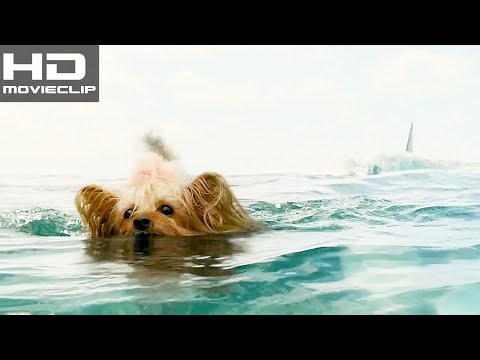 MEG (2018) | Pippin, komm zurück! – Filmszene | MOVIECLIPS HD