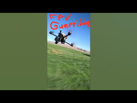 FPV Guerrilla Monkeys! 🐒 (FPV Conga Line) - YouTube