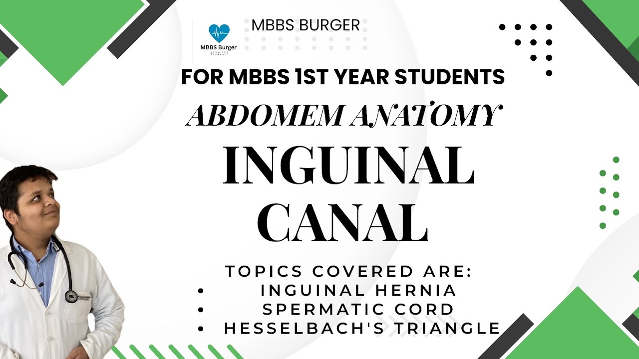 Abdomen ANATOMY INGUINAL CANAL ANATOMY INGUINAL Hernia Spermatic cord ...