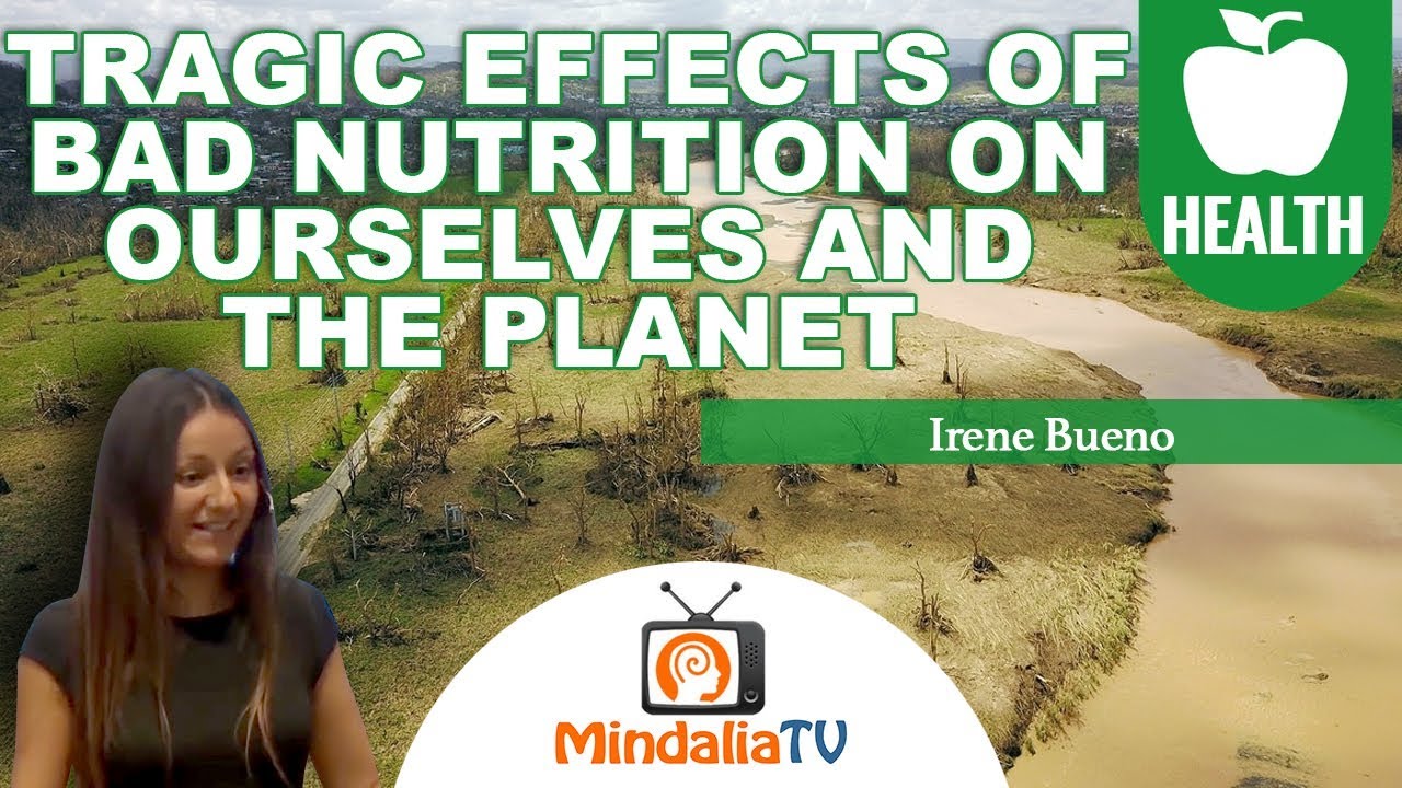 Tragic effects of bad nutrition on ourselves and the planet, by Irene ...