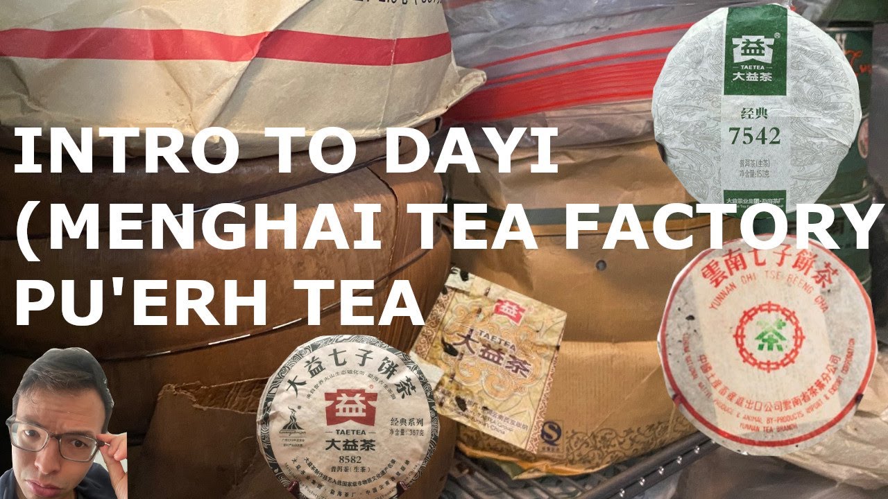 Introduction to Dayi (Menghai Tea Factory), All About, Basics, Teas to ...