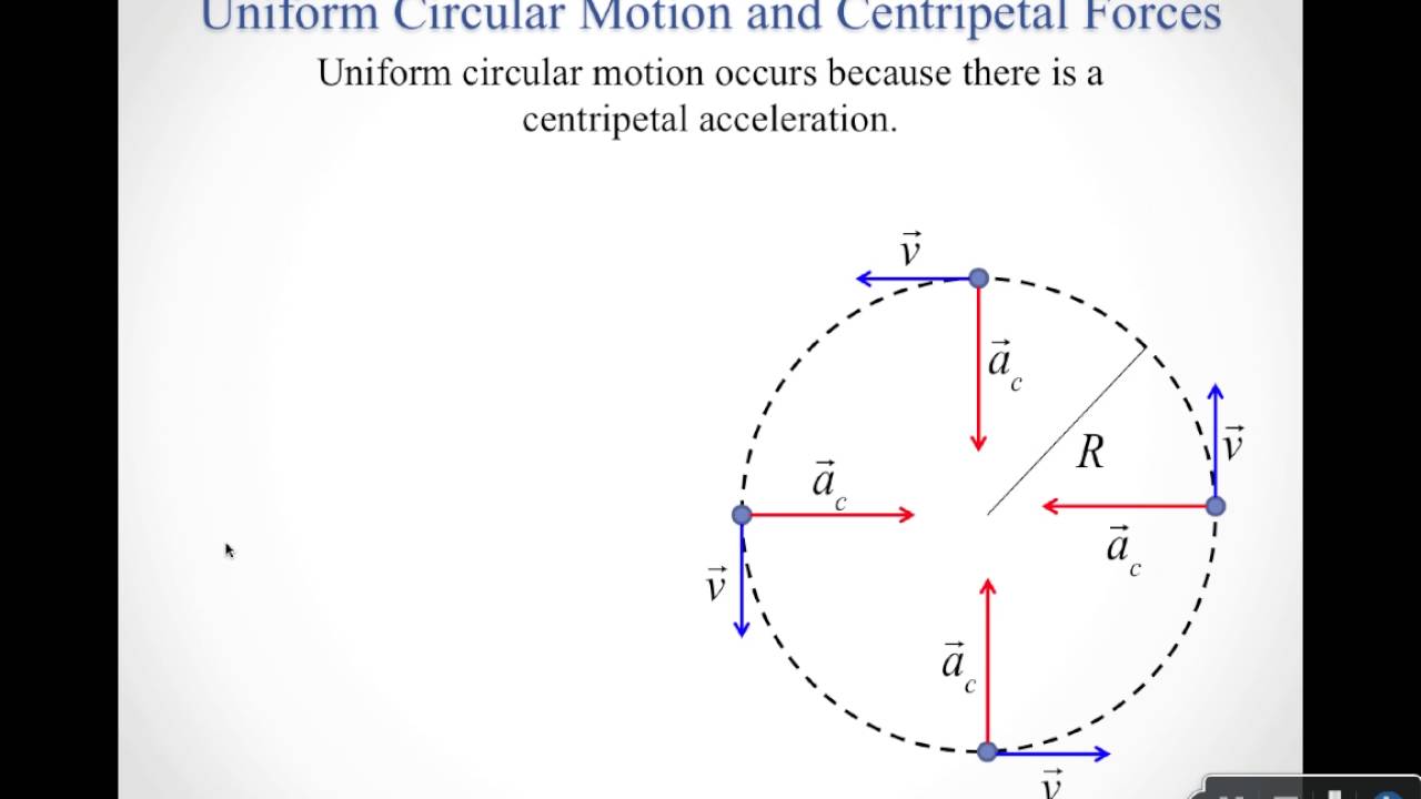 Uniform circular motion and centripetal forces - YouTube