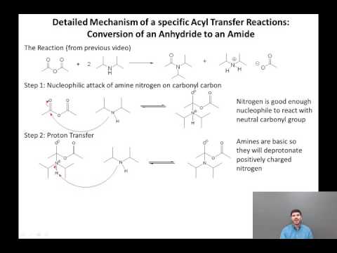 07 03 Acyl Transfer Mechanism - YouTube