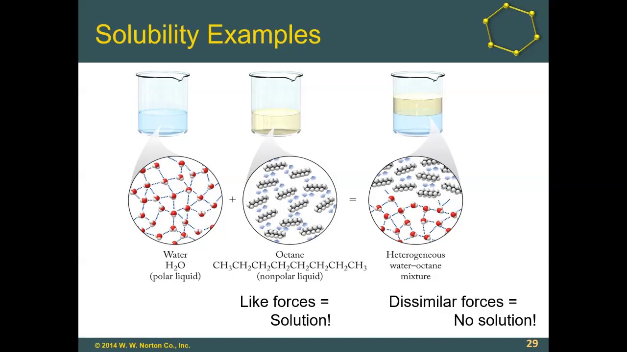 IMF and Solubility - YouTube