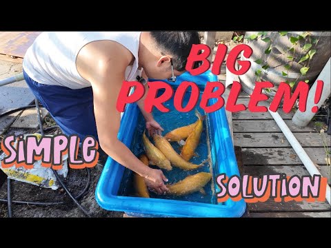 A BIG problem requires........a simple solution! - YouTube
