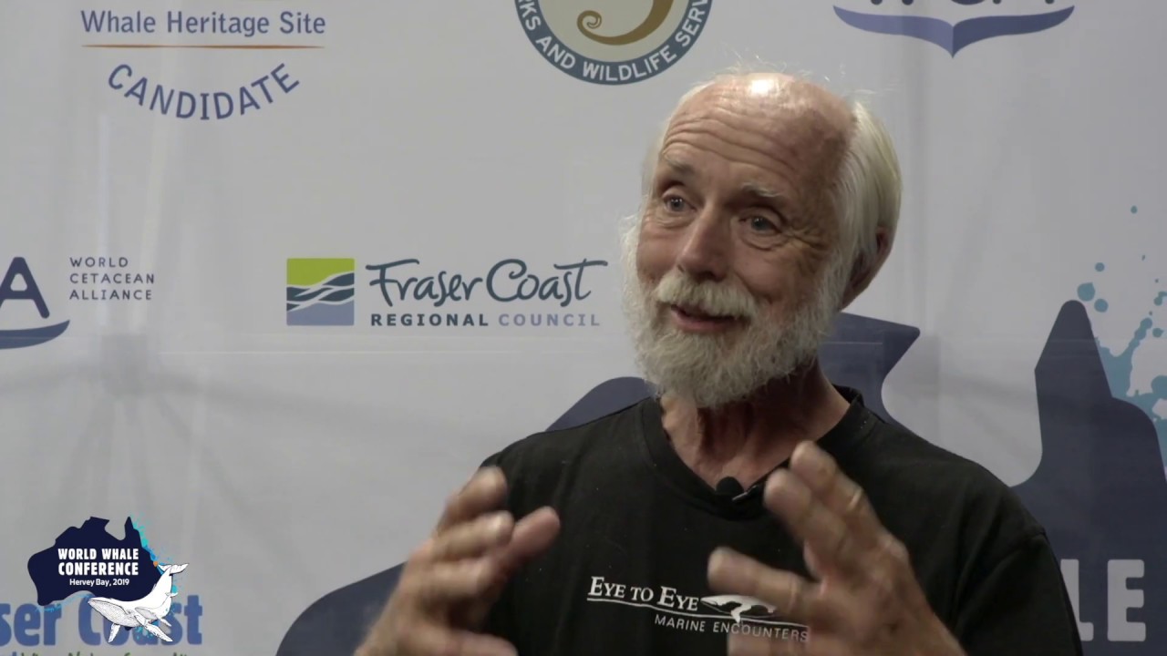 Interview with John Rumney of Eye to Eye Marine Encounters at The World ...