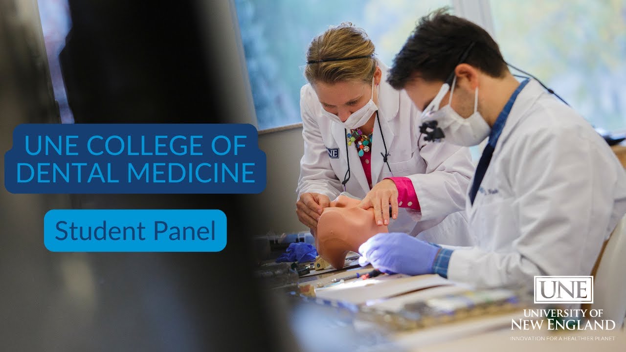UNE’s DMD Program: Real Student Experiences and Tips for Success - YouTube