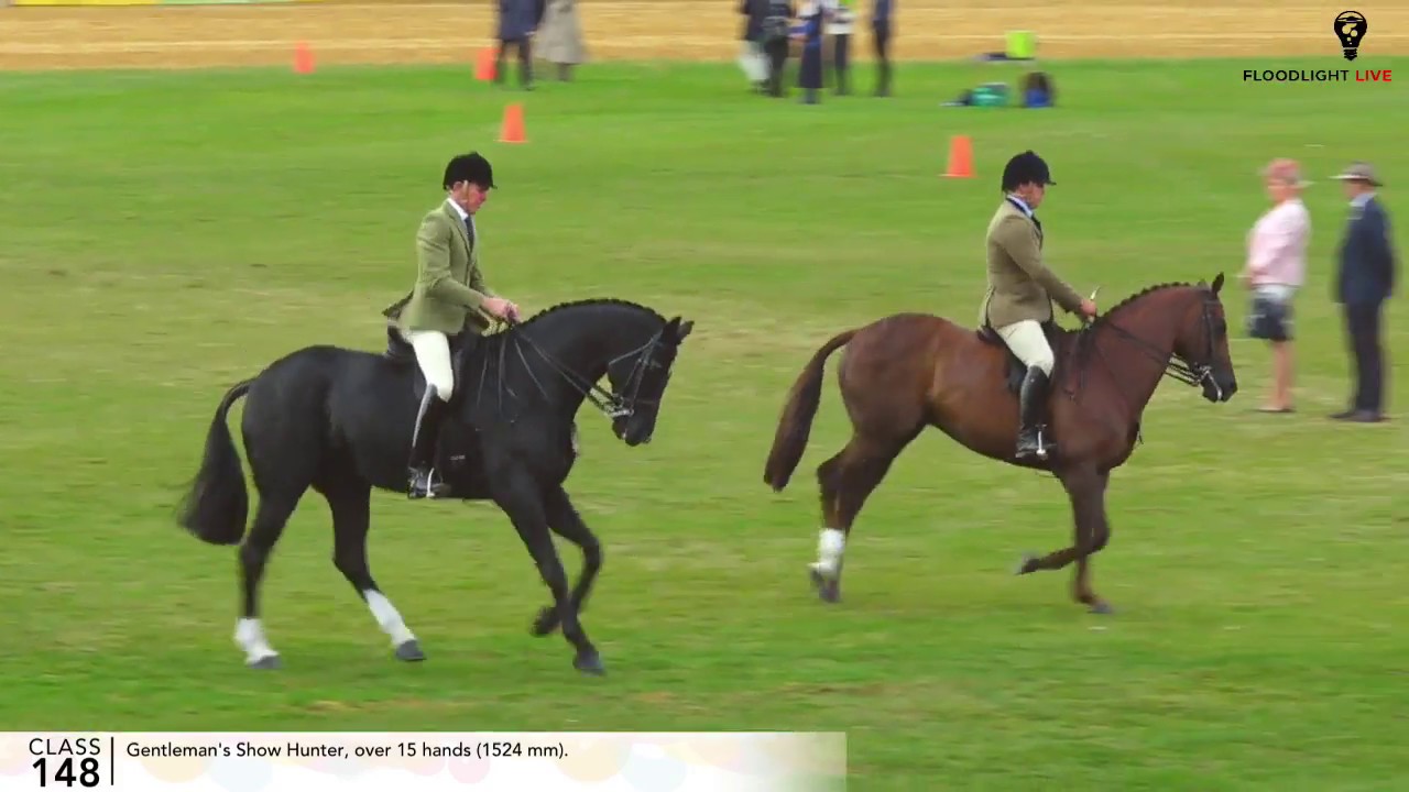 2018 Royal Adelaide Show Main Arena LIVE - Day 7 - YouTube