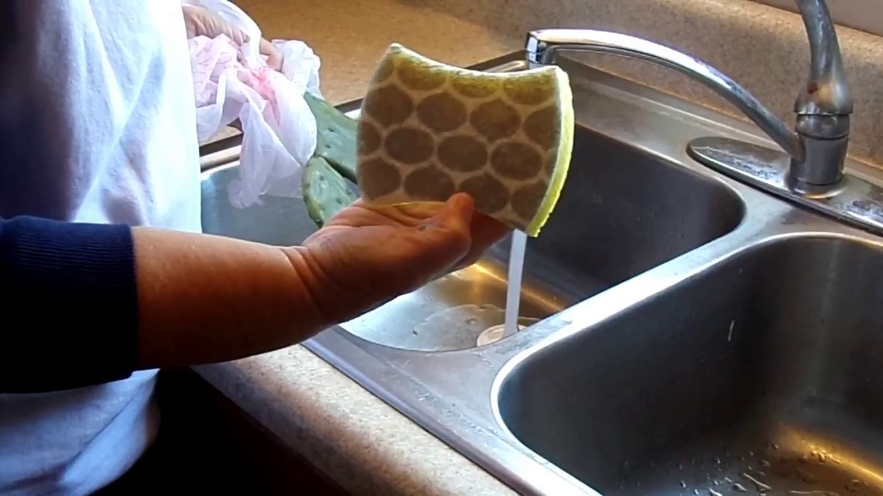 Removing Cactus Spines - YouTube