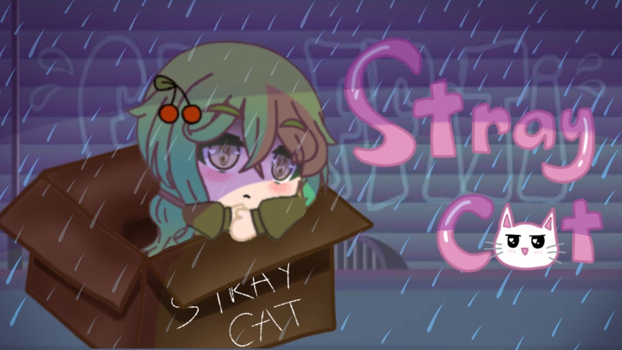 Stray Cat || Episode 5 || Gacha Club Series - YouTube