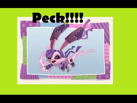 New Animal Jam tutorial with Peck(the bunny alpha) - YouTube