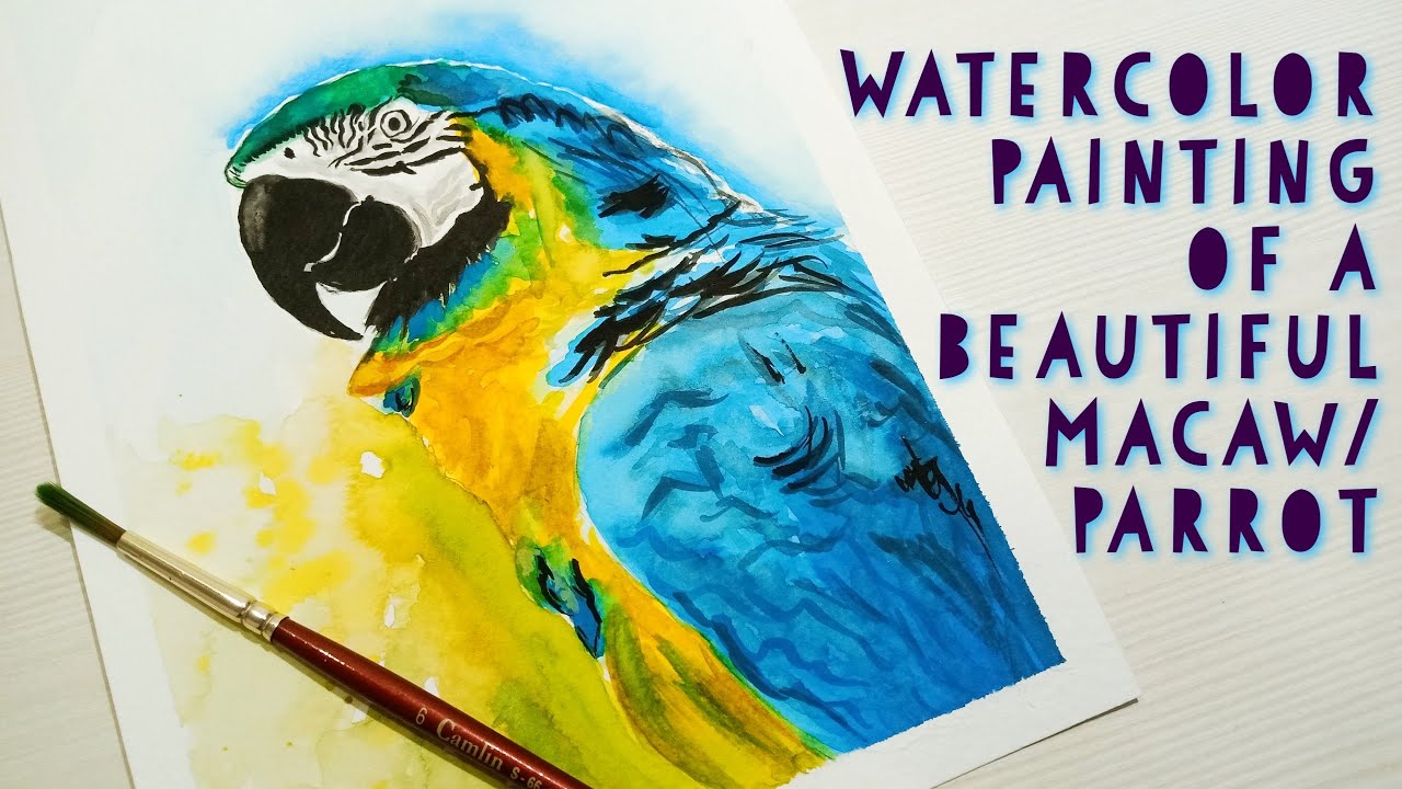 Step by step easy watercolor painting of Macaw Parrot | Painting ...