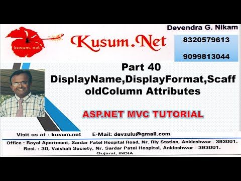 Part 40 DisplayName,DisplayFormat,ScaffoldColumn Attributes || ASP.NET ...