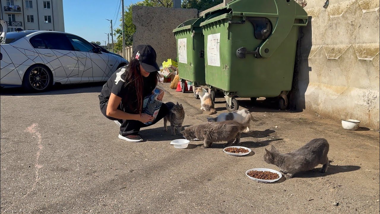 Someone Throw Them Away like Garbish… - YouTube