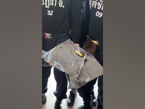 ไปให้สุดหยุดที่ขี้ 💩🐍 #งูเหลือม #จับงู #งู #ภิญโญคนจับงู #มือปราบอสรพิษ ...