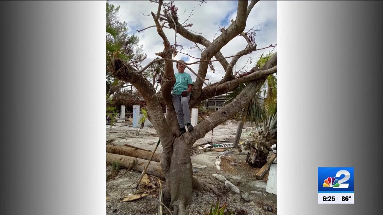 Woodturners transform tree that saved man on Fort Myers Beach - YouTube