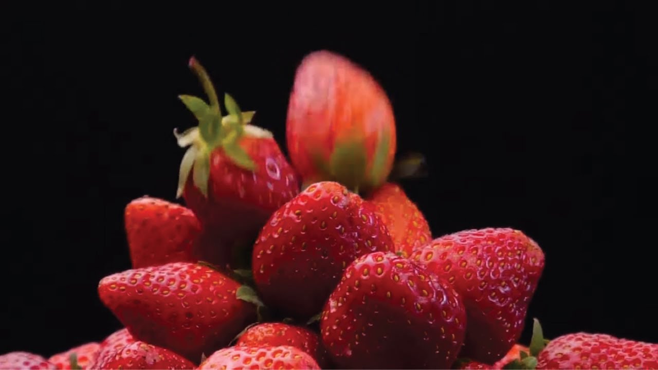 Foodsguru Ads: Jelajahi Kesegaran Nutriboost - Iklan TV 2021 - YouTube