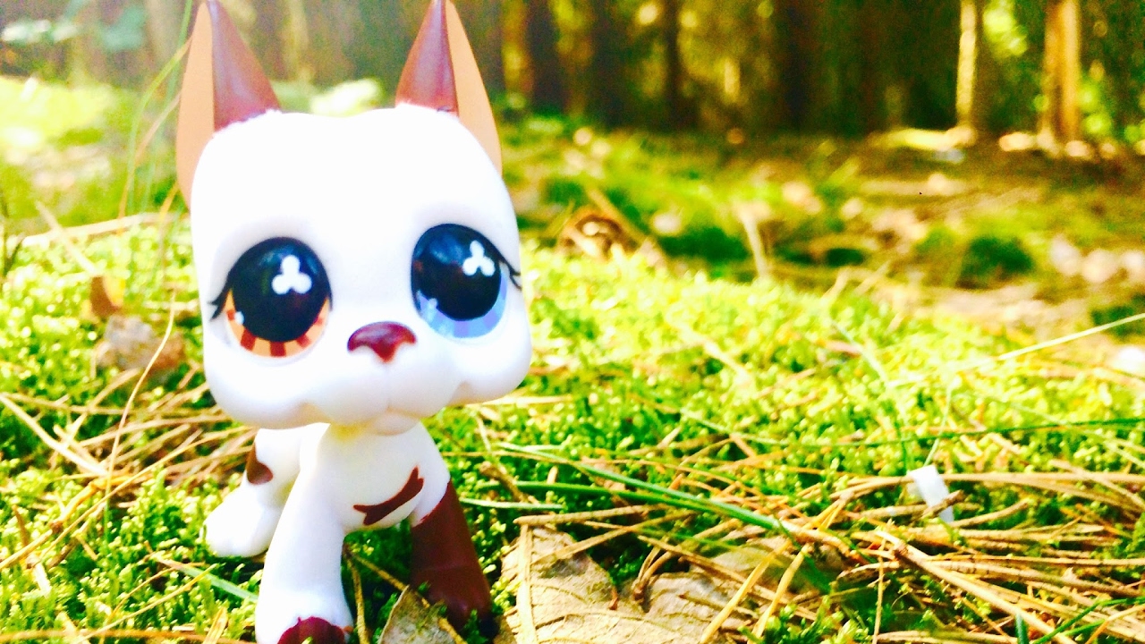 DIY Pokémon Zimmer - YouTube