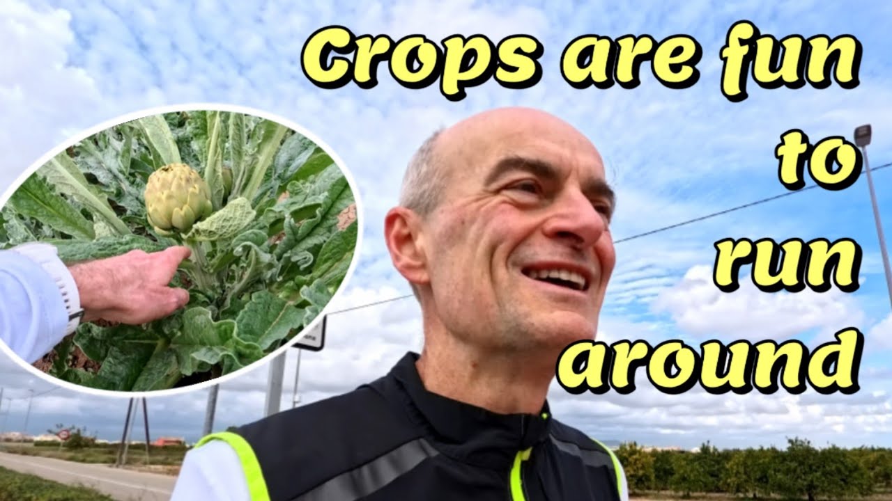 How to ENJOY an EASY RUN around the crops - YouTube
