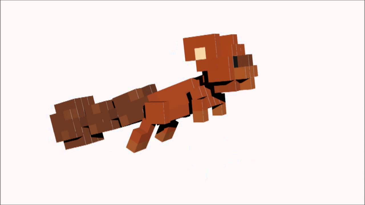 Squirrel Run Animation Test 1 - YouTube