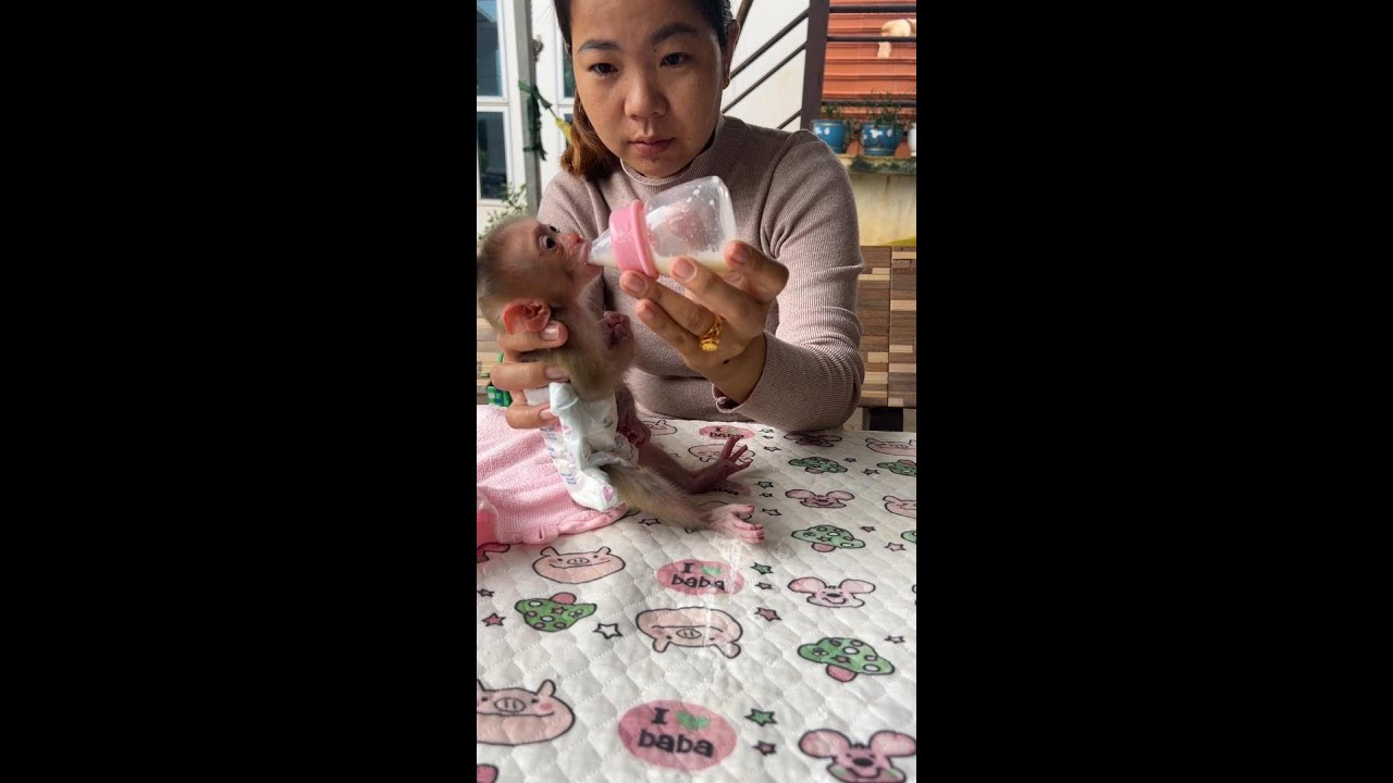 [Struggling but Determine] KT Periodically Sips Her Milk with Effort ...