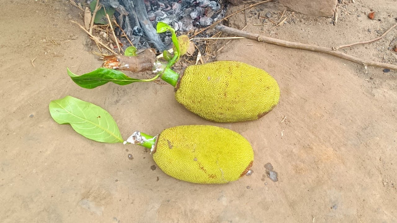 kothalor musi recipe/ kothal musi aaji puri bonalu chicken logot ...