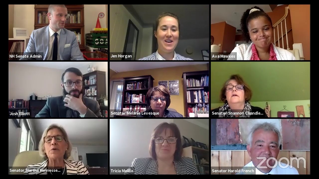 Senate Judiciary Committee Remote Public Hearing - YouTube