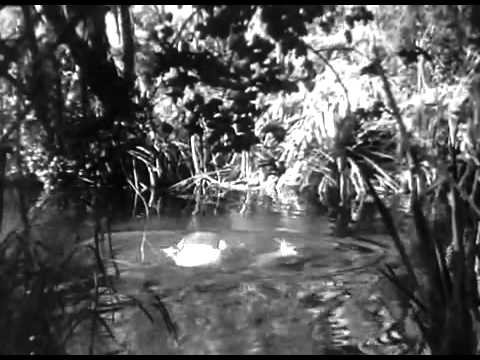 Tarzan and Jane swimming