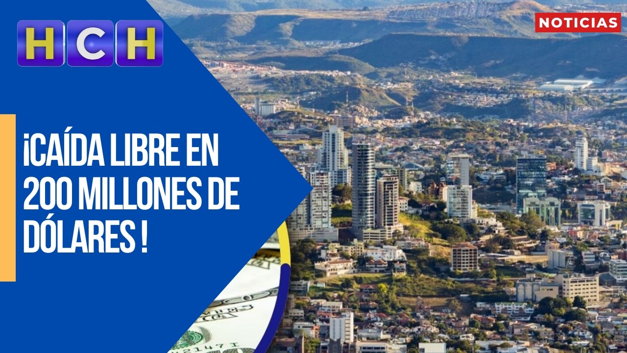 ¡Caída libre! En 200 millones de dólares cayó la Inversión extranjera ...